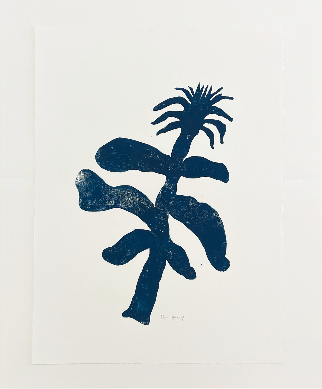 PRINTS – Hugo Guinness