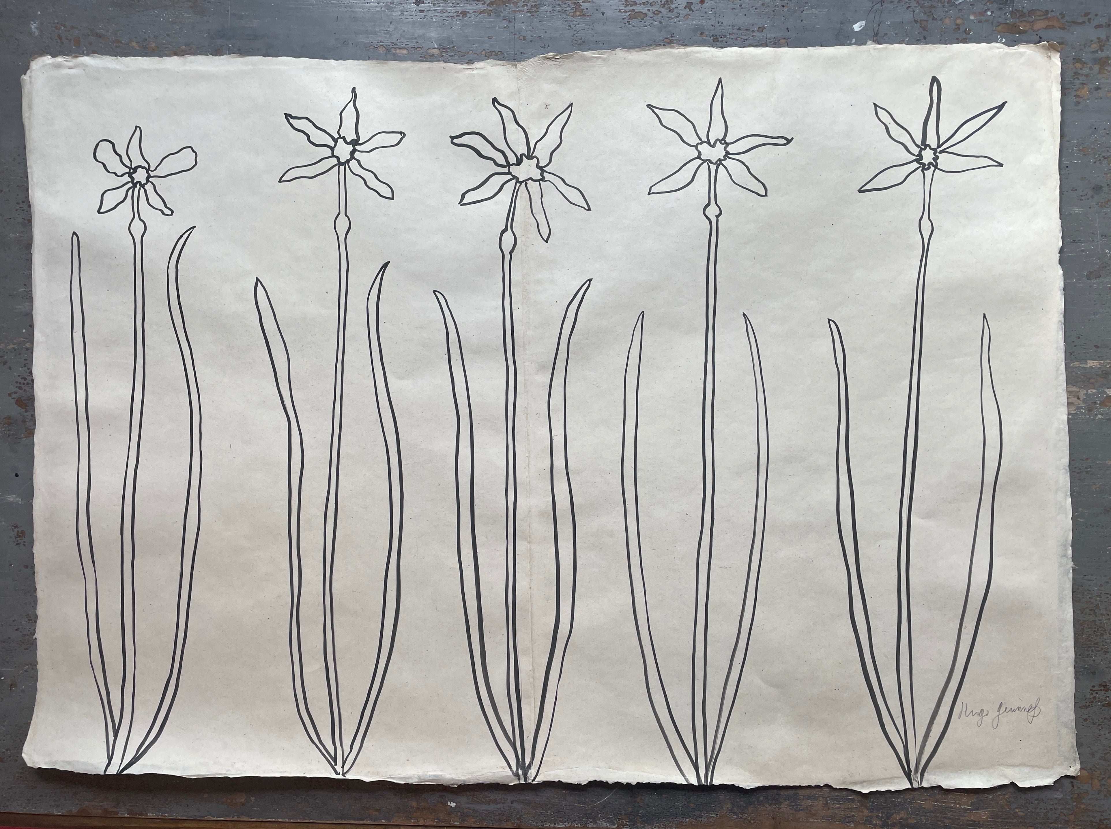 DRAWINGS – Hugo Guinness