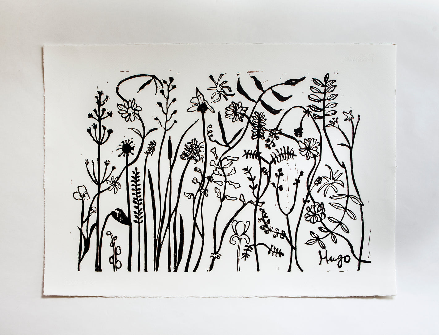 Hugo Guinness Prints