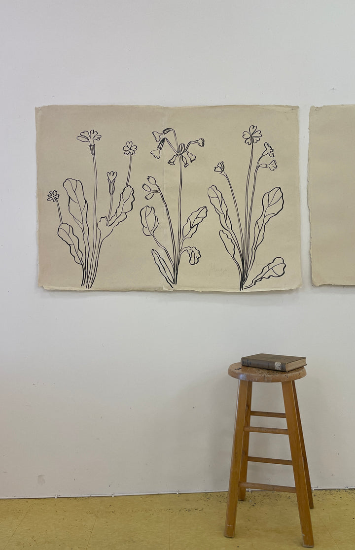 DRAWINGS – Hugo Guinness