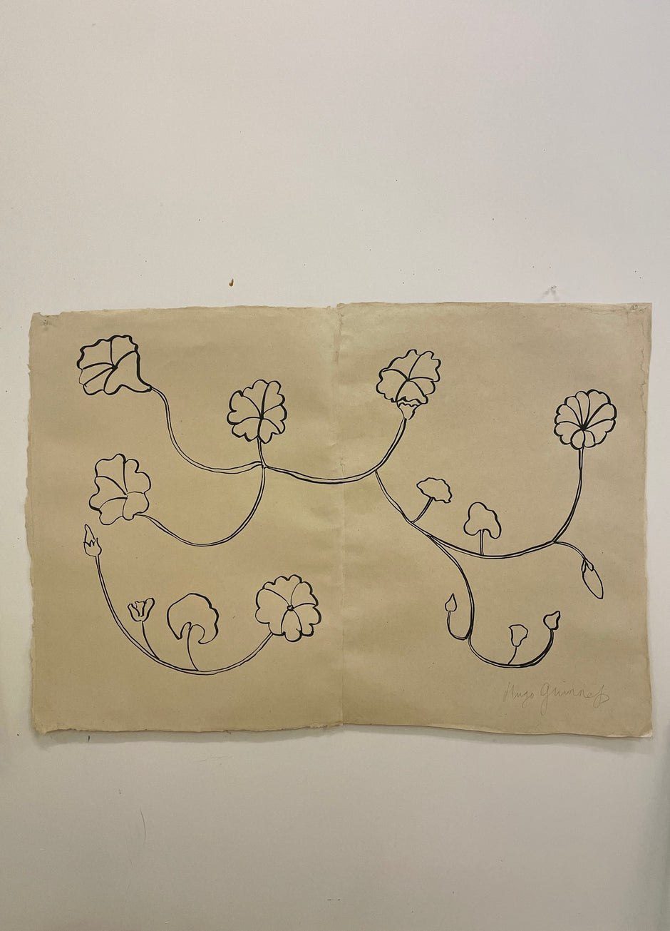 DRAWINGS – Hugo Guinness