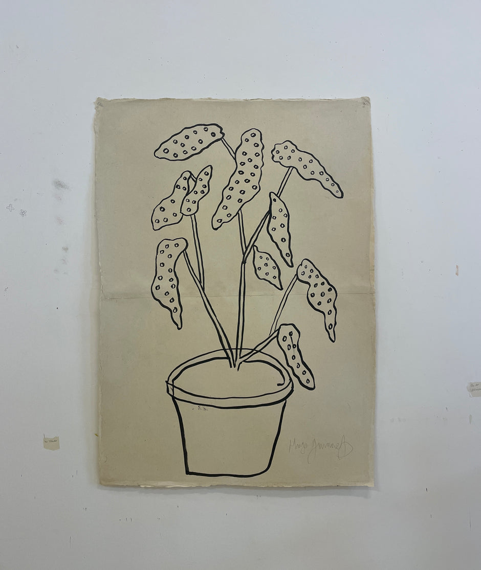 DRAWINGS – Hugo Guinness