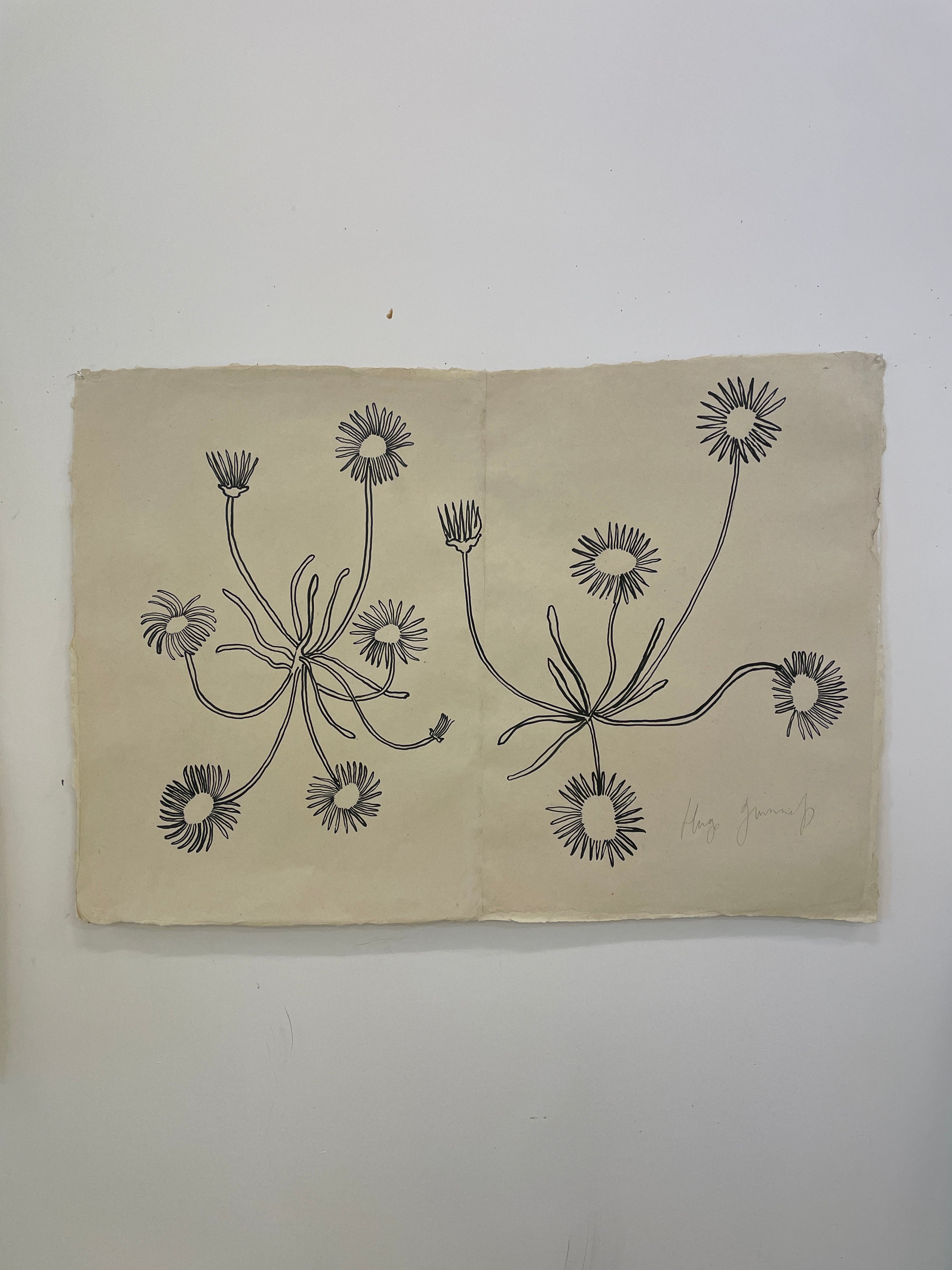 DRAWINGS – Hugo Guinness