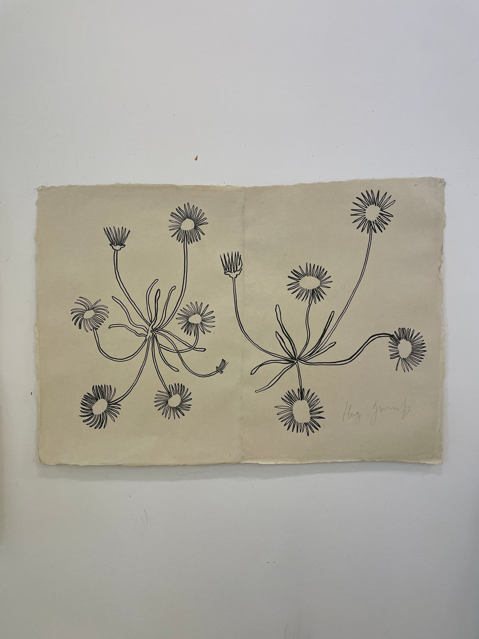 DRAWINGS – Hugo Guinness