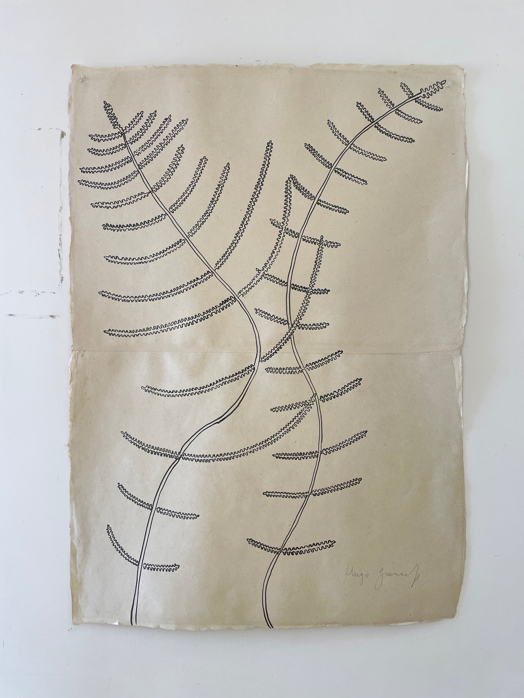 DRAWINGS – Hugo Guinness