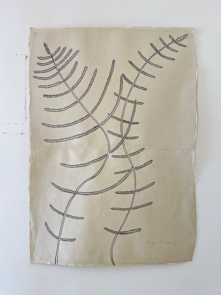 DRAWINGS – Hugo Guinness