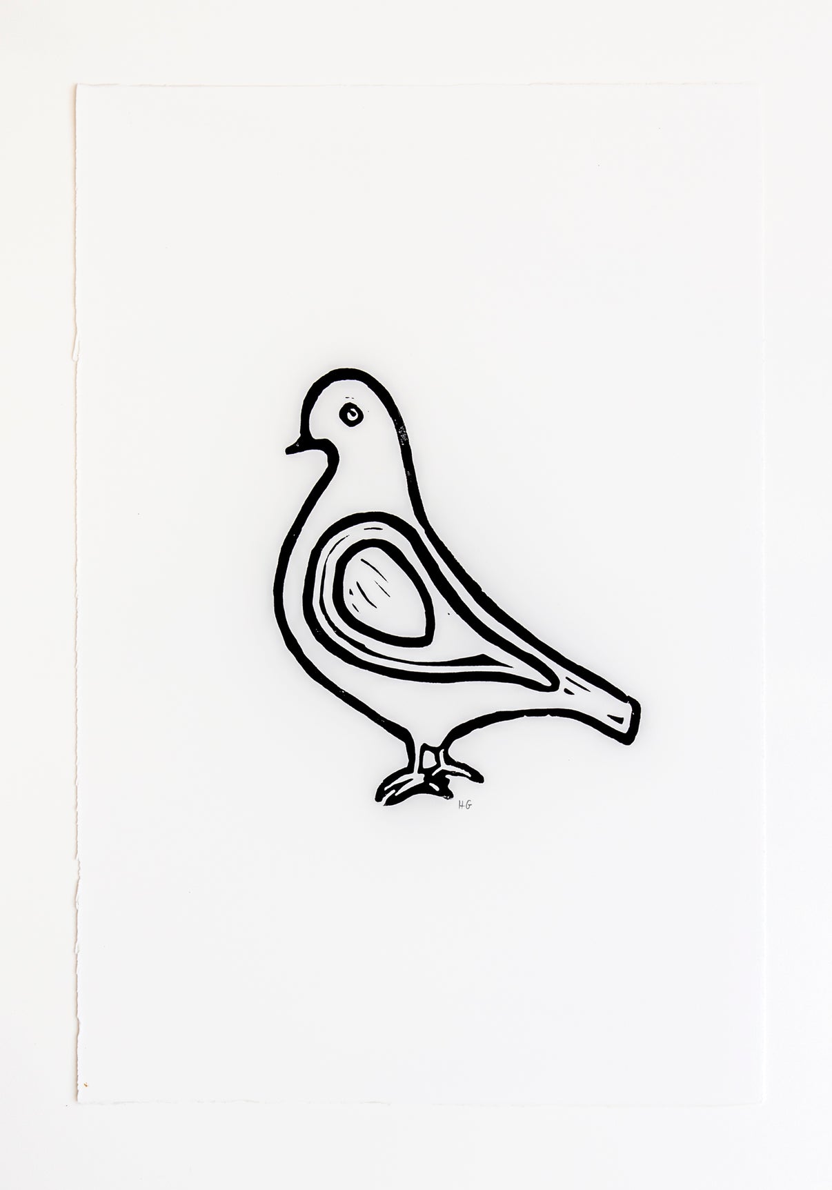Pigeon Facing Left – Hugo Guinness