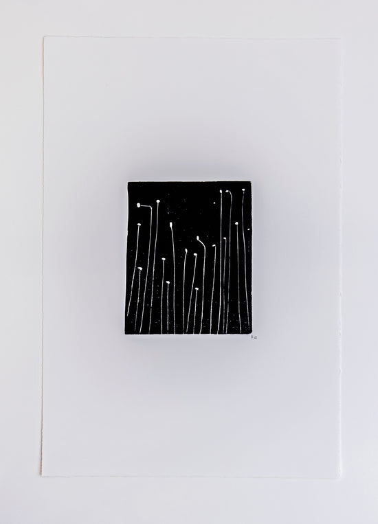 Seed Head – Hugo Guinness