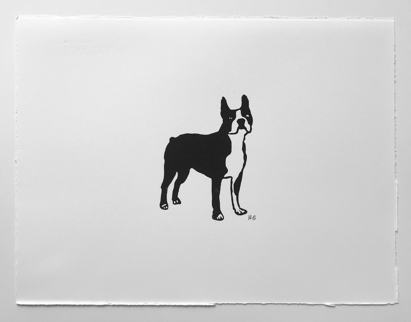 Boxer Dog – Hugo Guinness